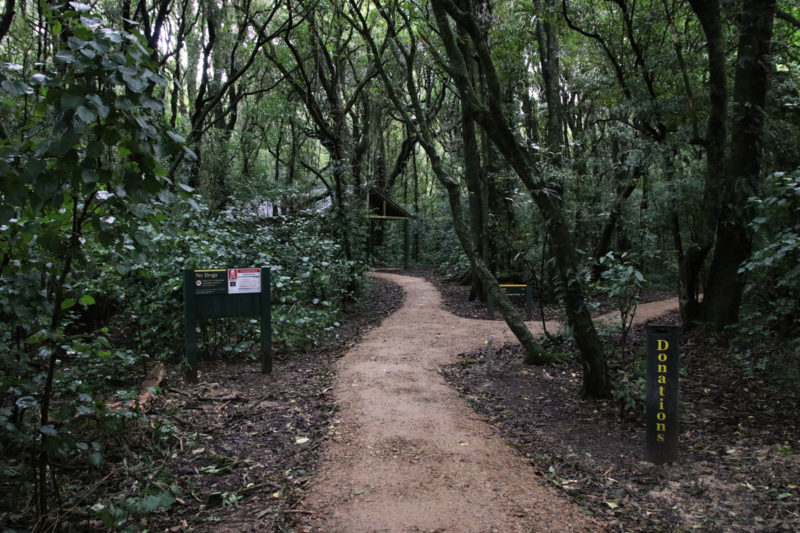 Walk - Te Āpiti - Manawatū Gorge, New Zealand - Find out more