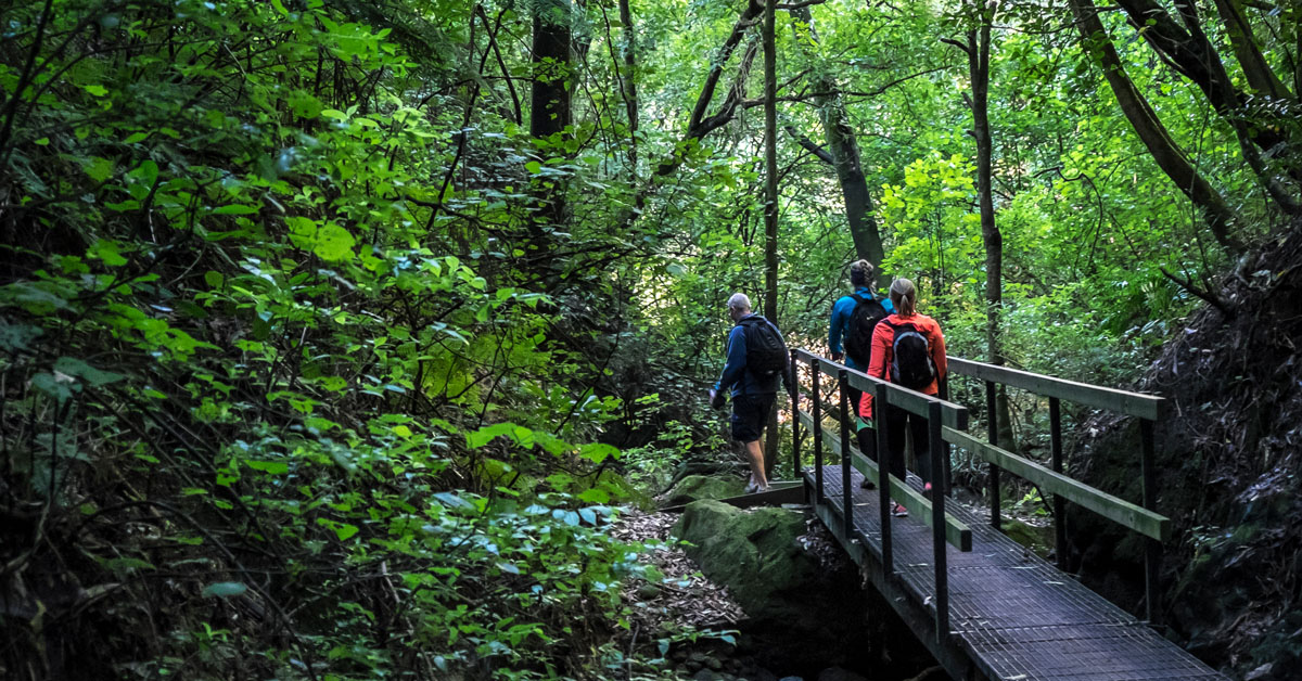 Walk - Te Āpiti - Manawatū Gorge, New Zealand - Find out more